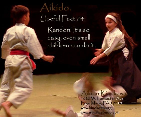 Life Lesson of Aikido – UKM Aikido