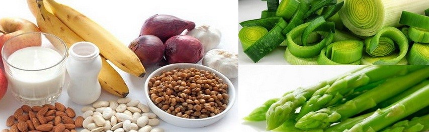 Mengenal Prebiotik – HIMFOODTECH