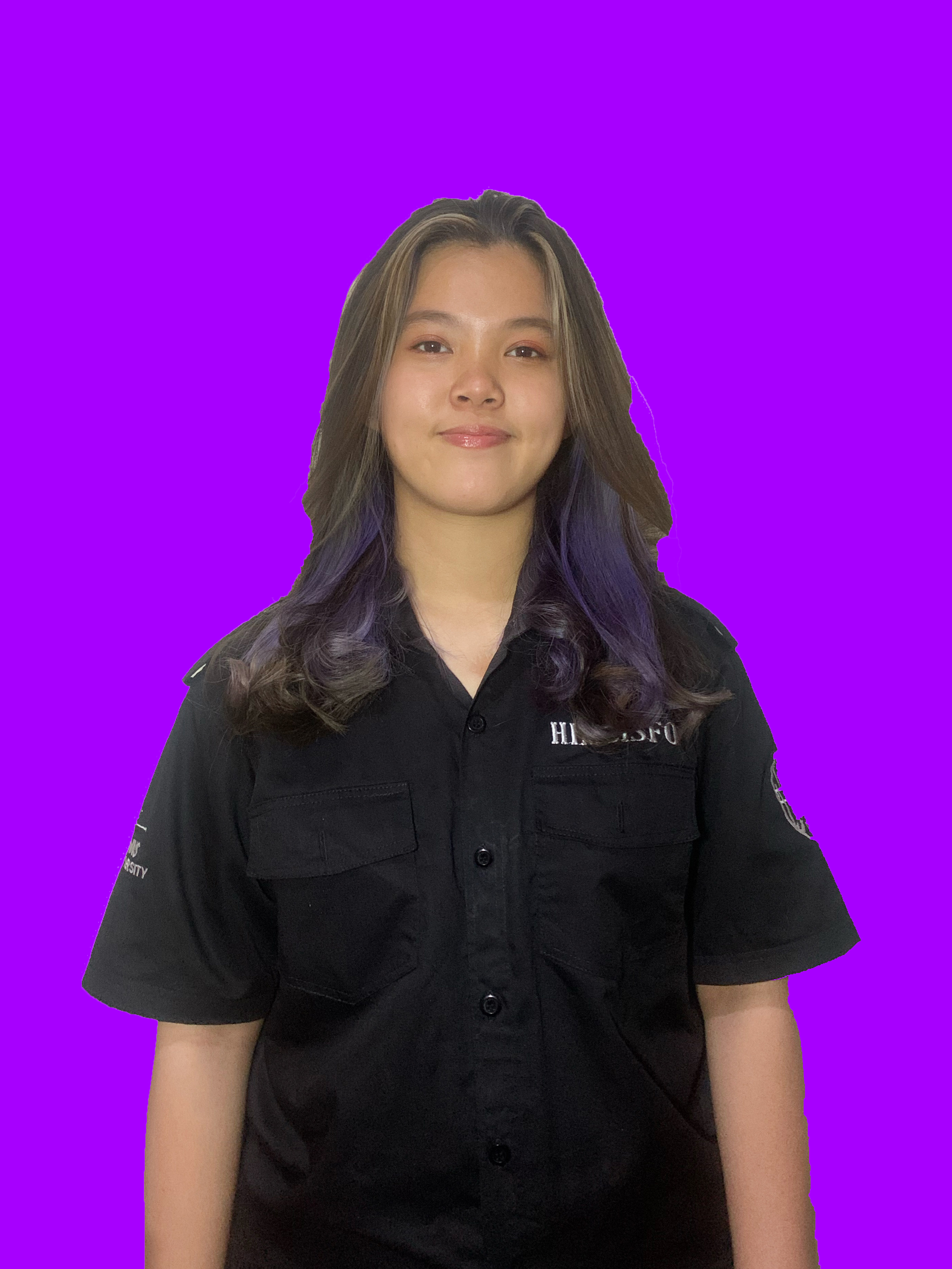 Himpunan Mahasiswa Sistem Informasi – BINUS UNIVERSITY