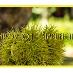 Composition – Simplification – Klifonara